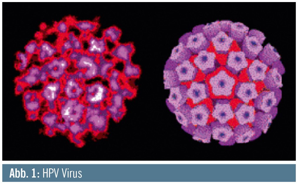 Die HPV-Impfung – Stand des Wissens 2012 | Spectrum Urologie | MedMedia Die HPV-Impfung – Stand des Wissens 2012 | Spectrum Urologie | MedMedia